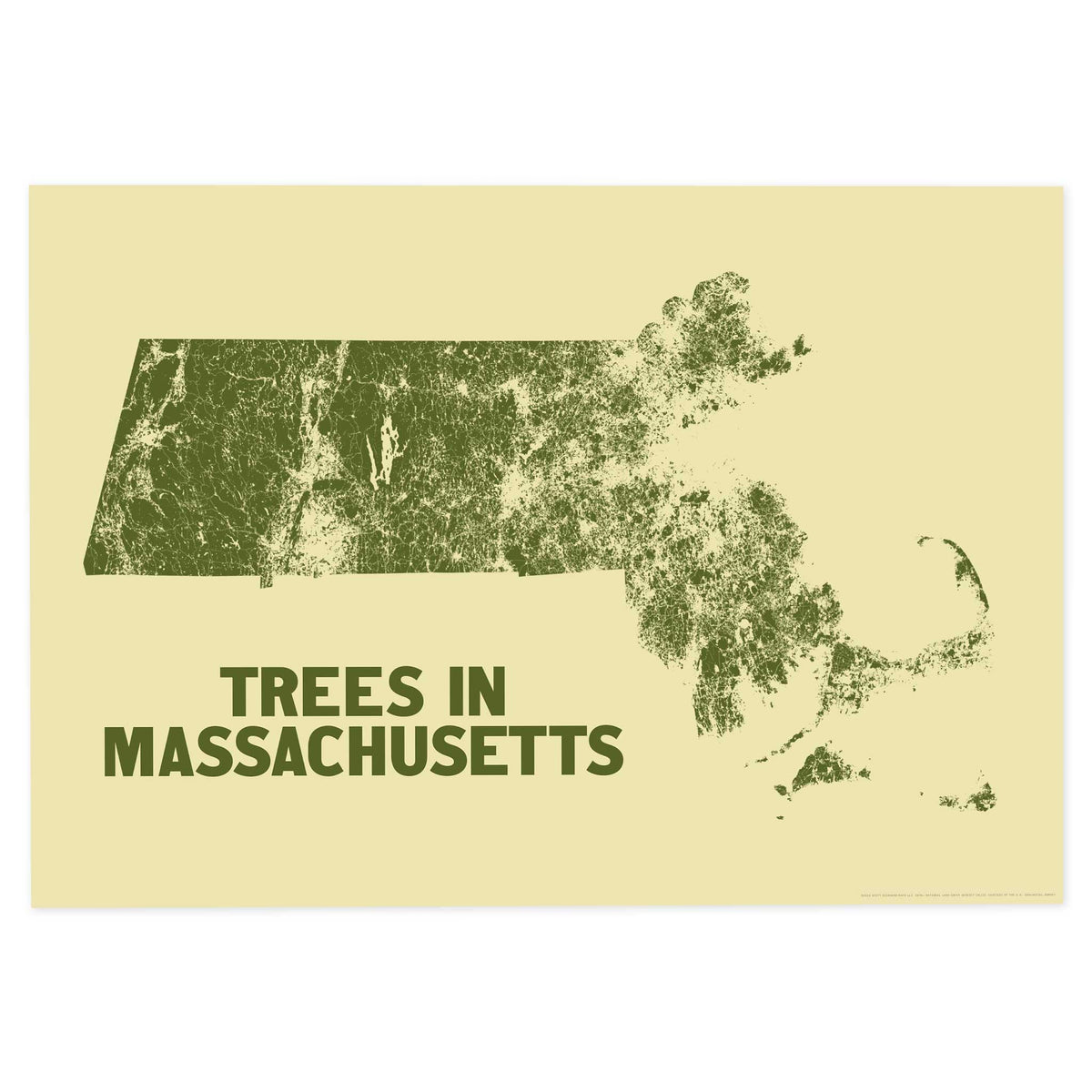Trees in Massachusetts Poster • Scott Reinhard Maps