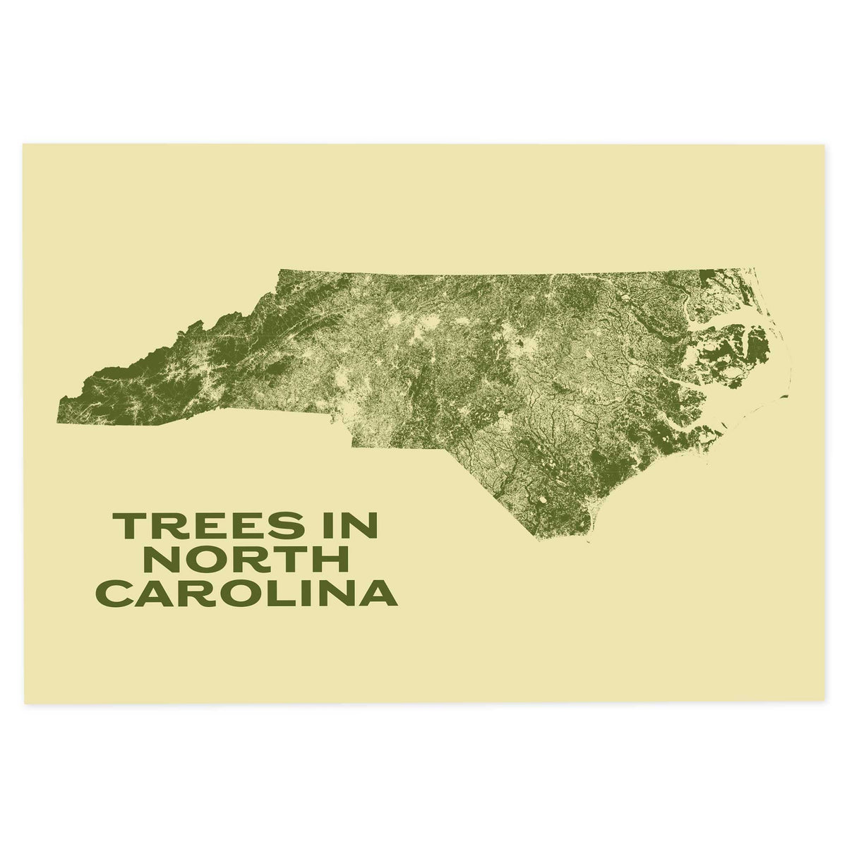 Trees in North Carolina Poster • Scott Reinhard Maps